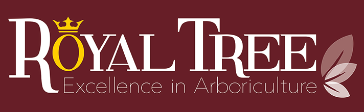 Tree Services Queenstown, NZ | Royal Tree Ltd